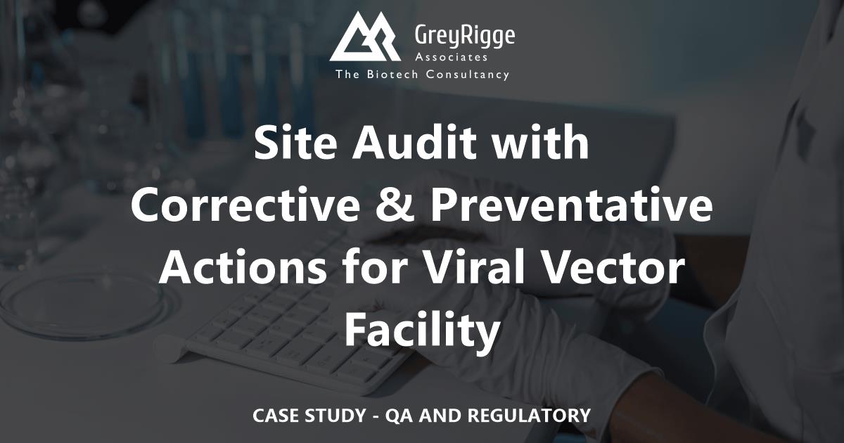 Site Audit for Viral Vectors
